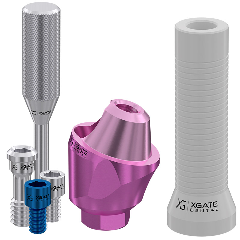 XGATE DENTAL X3 (Internal Hex) + 1 MUA ANGLED (17° / 30°) - S.E ...